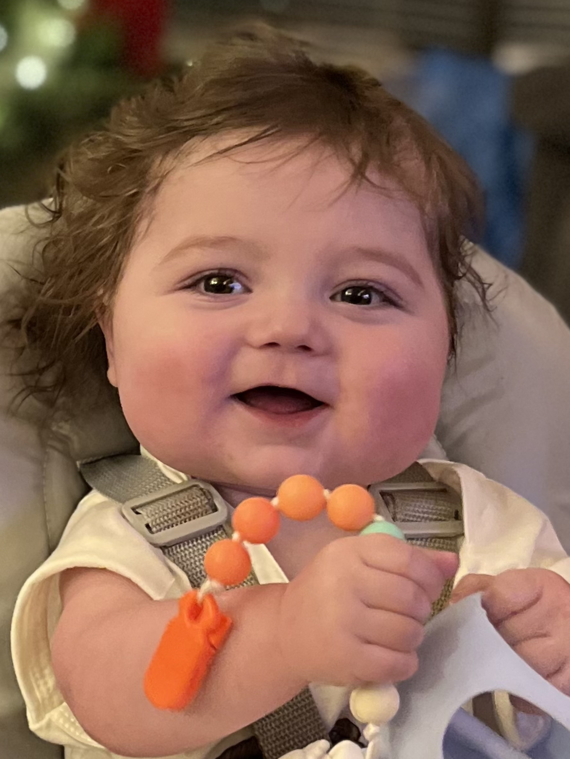 Chastain Funeral Home | (812) 849-2600